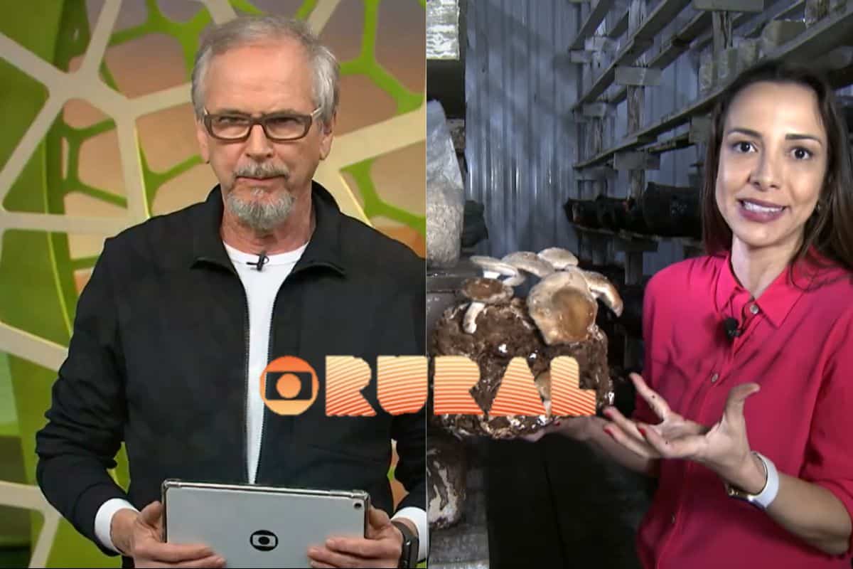 Que horas começa o Globo Rural e como assistir ao vivo | DCI