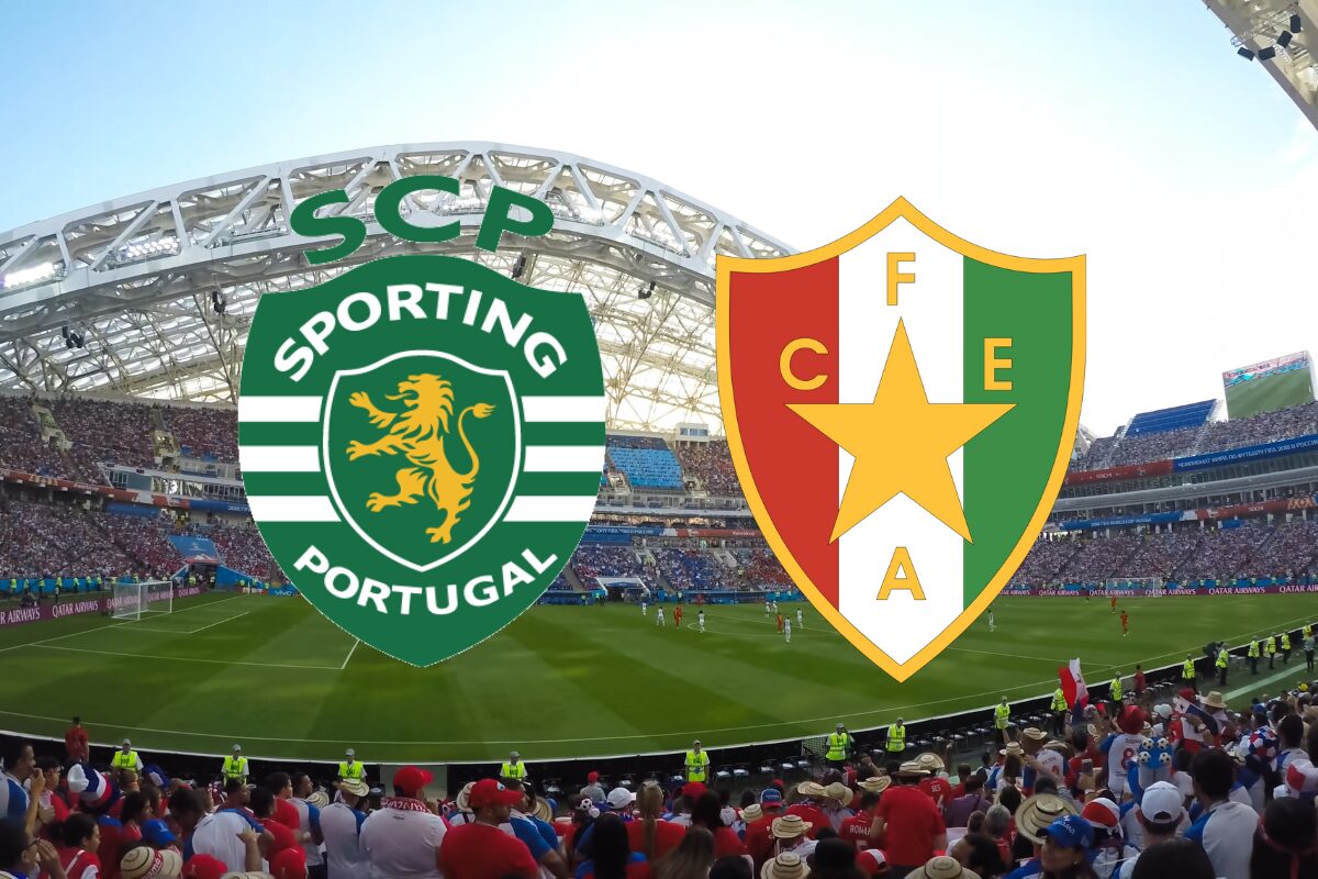 Horário e onde assistir o jogo do Sporting x Estrela Amadora na Liga ...