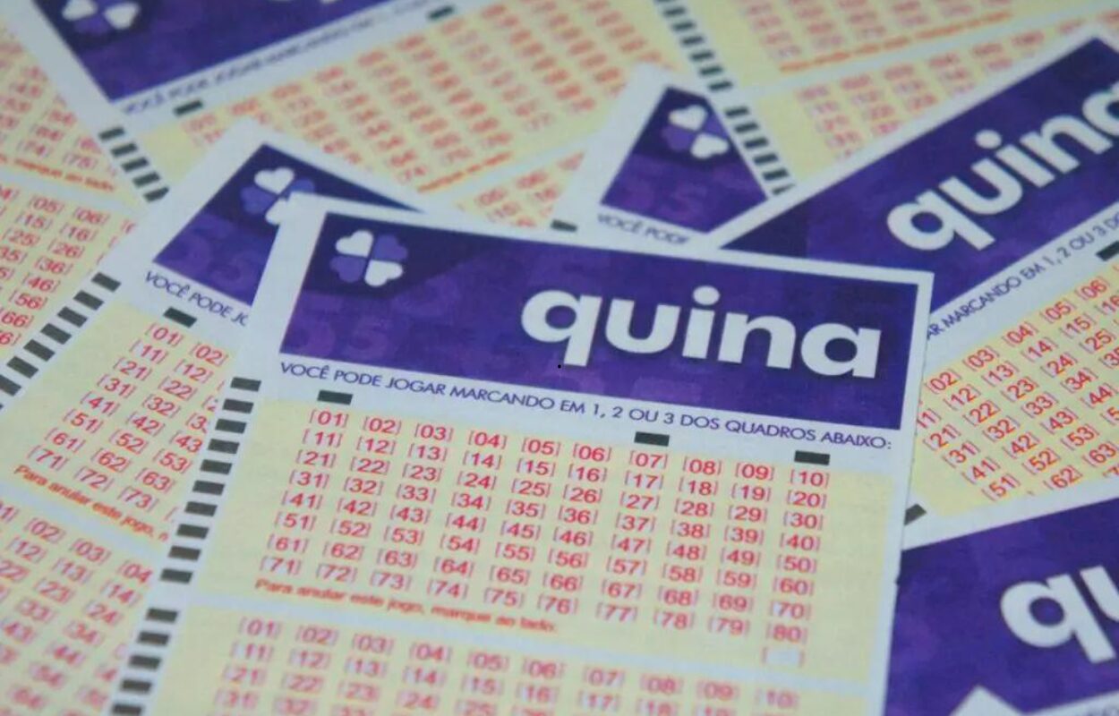 Veja o resultado da Quina 6832 e os ganhadores hoje