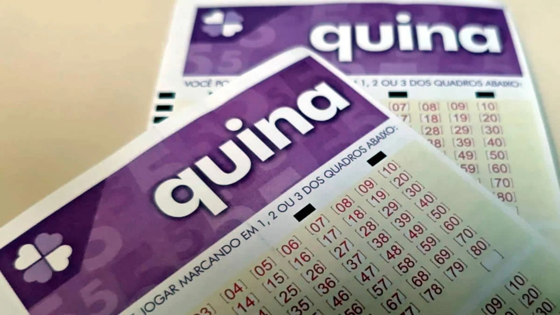 Resultado da Quina 7036: dezenas concurso de hoje 27/05/2026