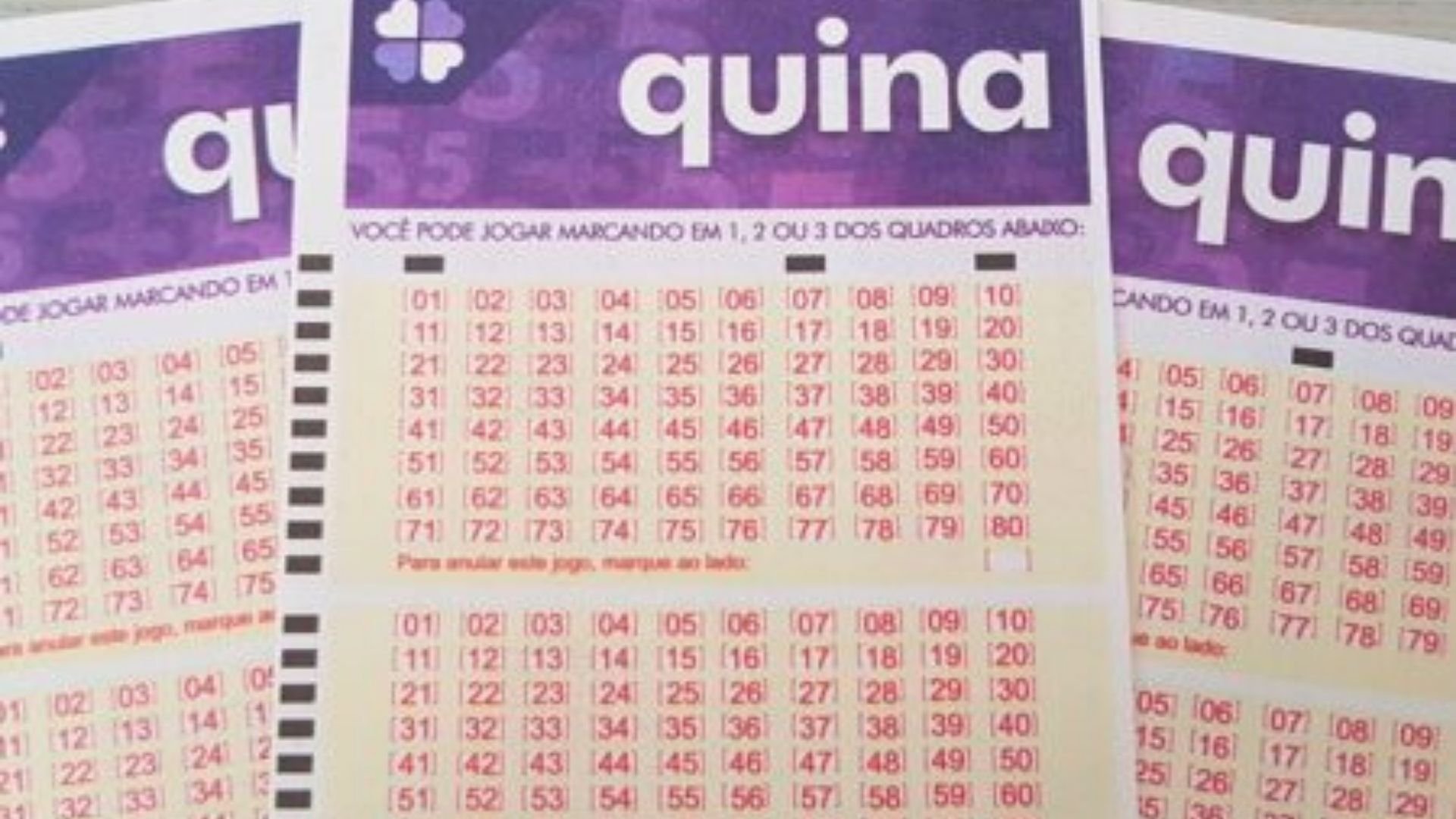 Veja o resultado da Quina 7030 concurso hoje quarta-feira